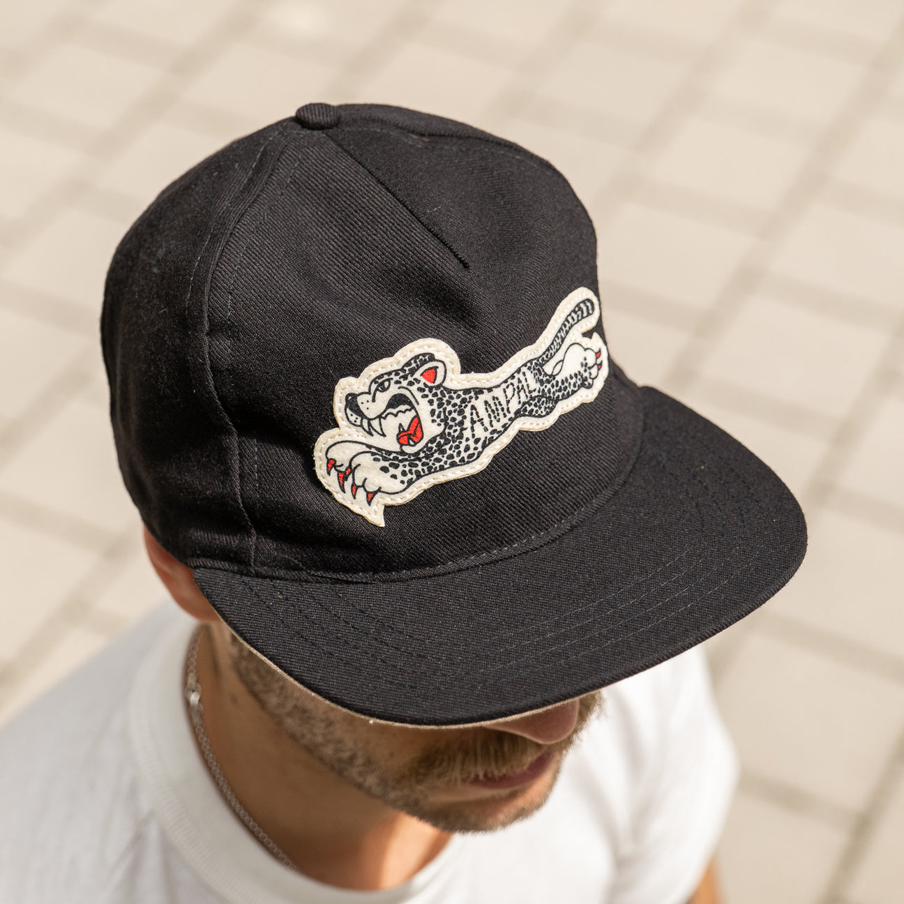 Caps from Ampal Creative, Ten C & More